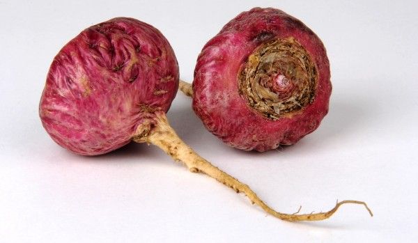 Maca roja - Gran ayuda para la próstata y la osteoporosis