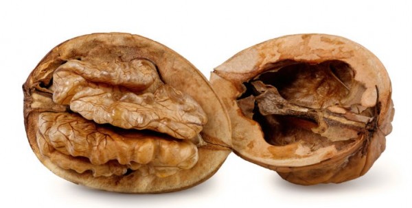 Alimento rancio - Es el alimento oleoso con mal olor